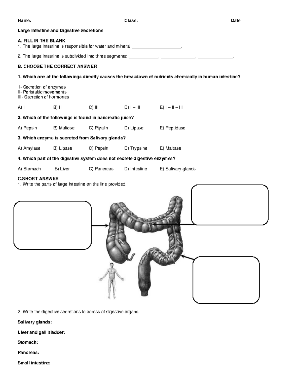 Test Review 2021 - Name: Class: Date Large Intestine and Digestive ...