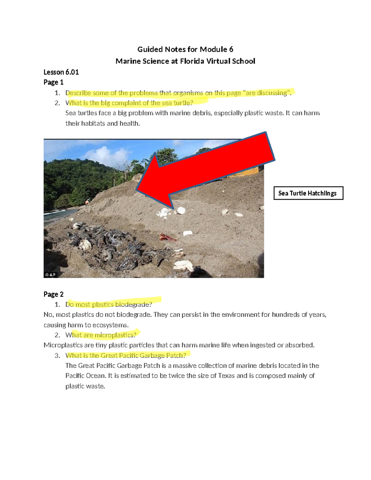 Module 6 Guided Notes Marine Science at FLVS - Guided Notes for Module ...