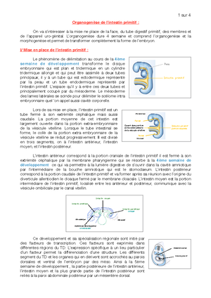 Les organes génitaux - 1 sur 10 UE2B UE2B : Les organes génitaux Partie ...