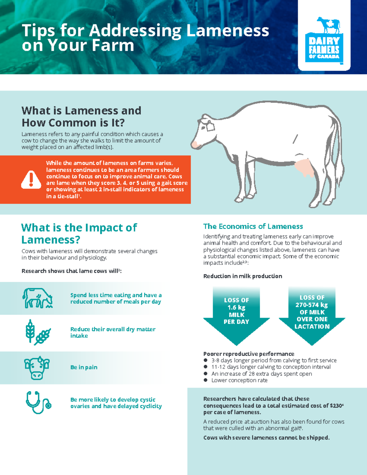 cow disease - Tips for Addressing Lameness on Your Farm Lameness refers ...