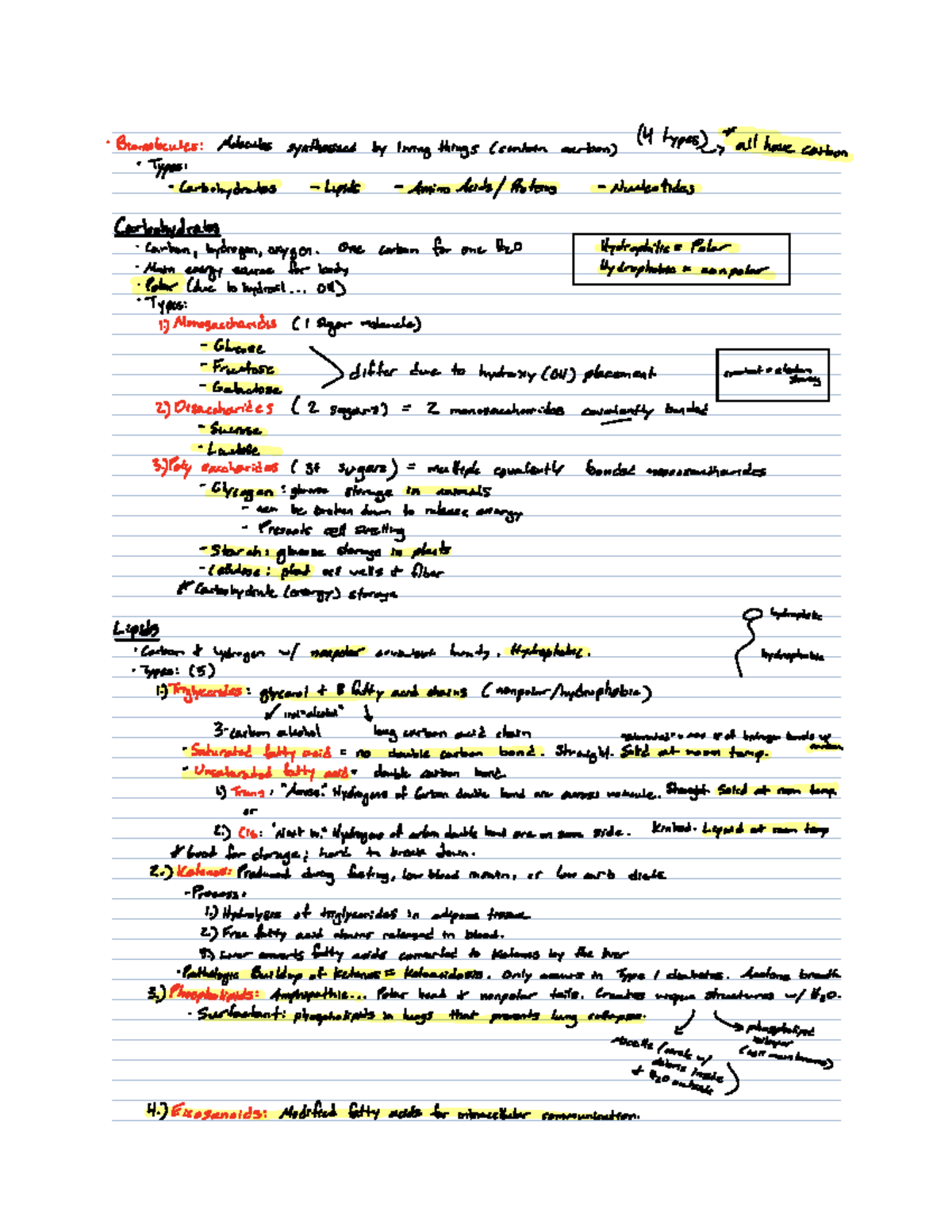 Biological Macromolecules Review - 4 types all have carbon Biomolecules ...