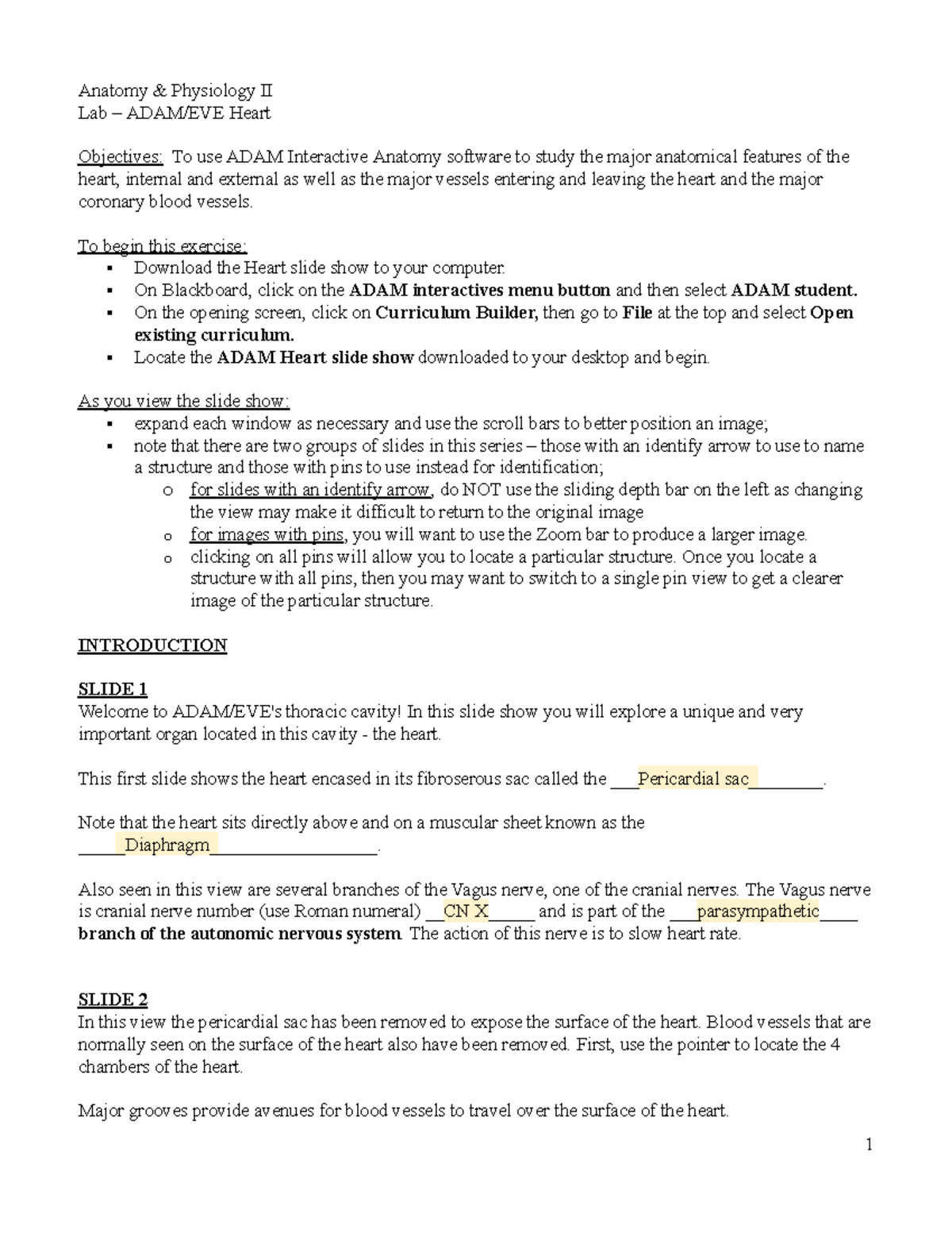 ADAM Heart worksheet - Anatomy & Physiology II Lab – ADAM/EVE Heart ...