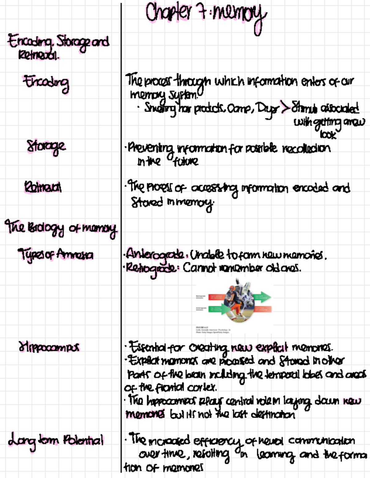 Psych 7 - Shah - Chapter memory Encoding . Storage and Retrieval ...