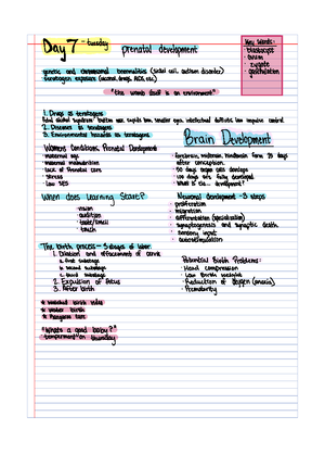 Child Development notes week 1 - Day I Monday video of kidsplaying in ...
