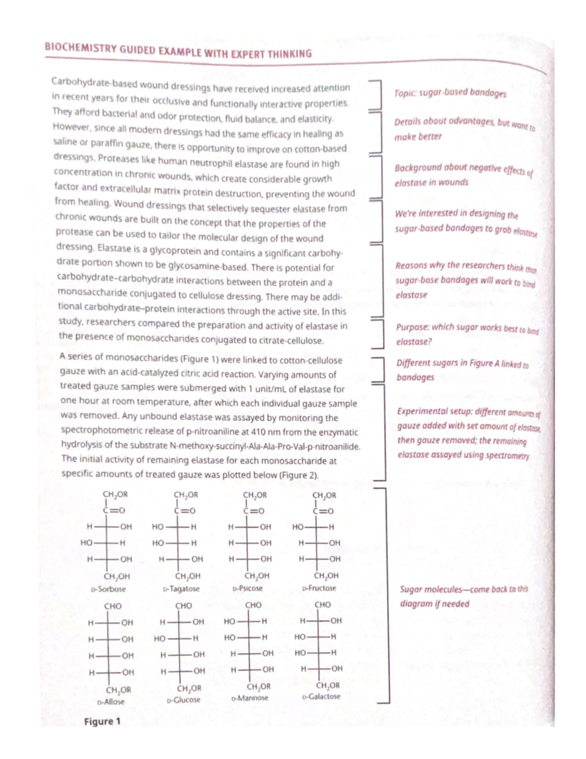 Interactive Properties of Molecules - BIOCHEMISTRY GUIDED EXAMPLE WITH ...