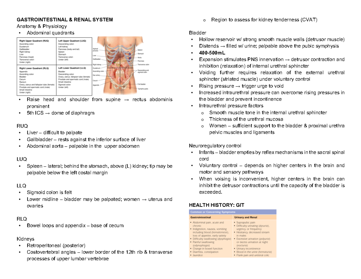 Gastrointestinal - Anatomy & Physiology - GASTROINTESTINAL & RENAL ...