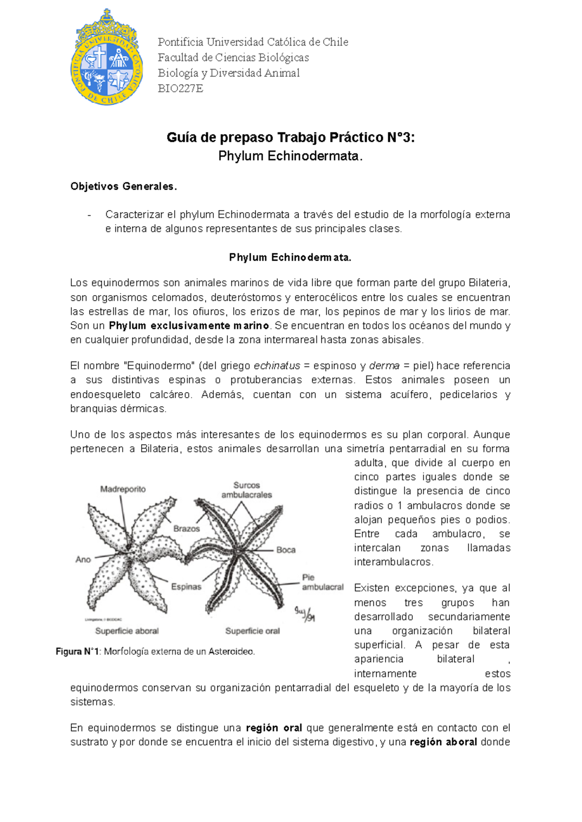 Guia prepaso práctico N°3 Echinodermos Mod - Pontificia Universidad ...