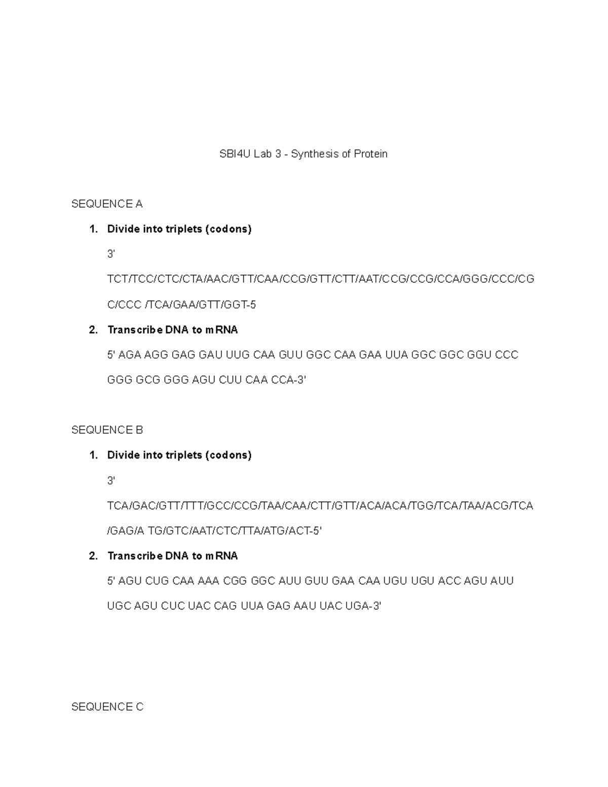 Lab 3 - Synthesis of Protein - SBI4U Lab 3 - Synthesis of Protein SEQUENCE A Divide into ...