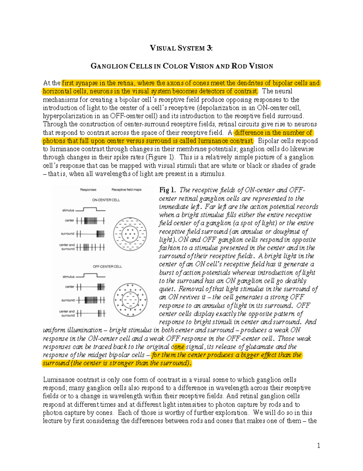 Lecture 20 Visual System-03 - Warning: Popup annotation has a missing or invalid parent ...