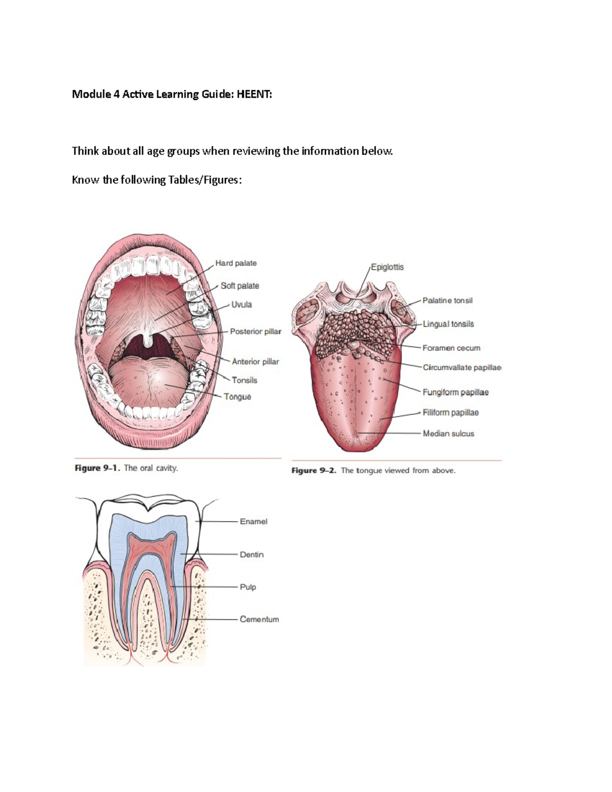 Module 4 Active Learning Guide - Module 4 Active Learning Guide: HEENT: Think about all age ...
