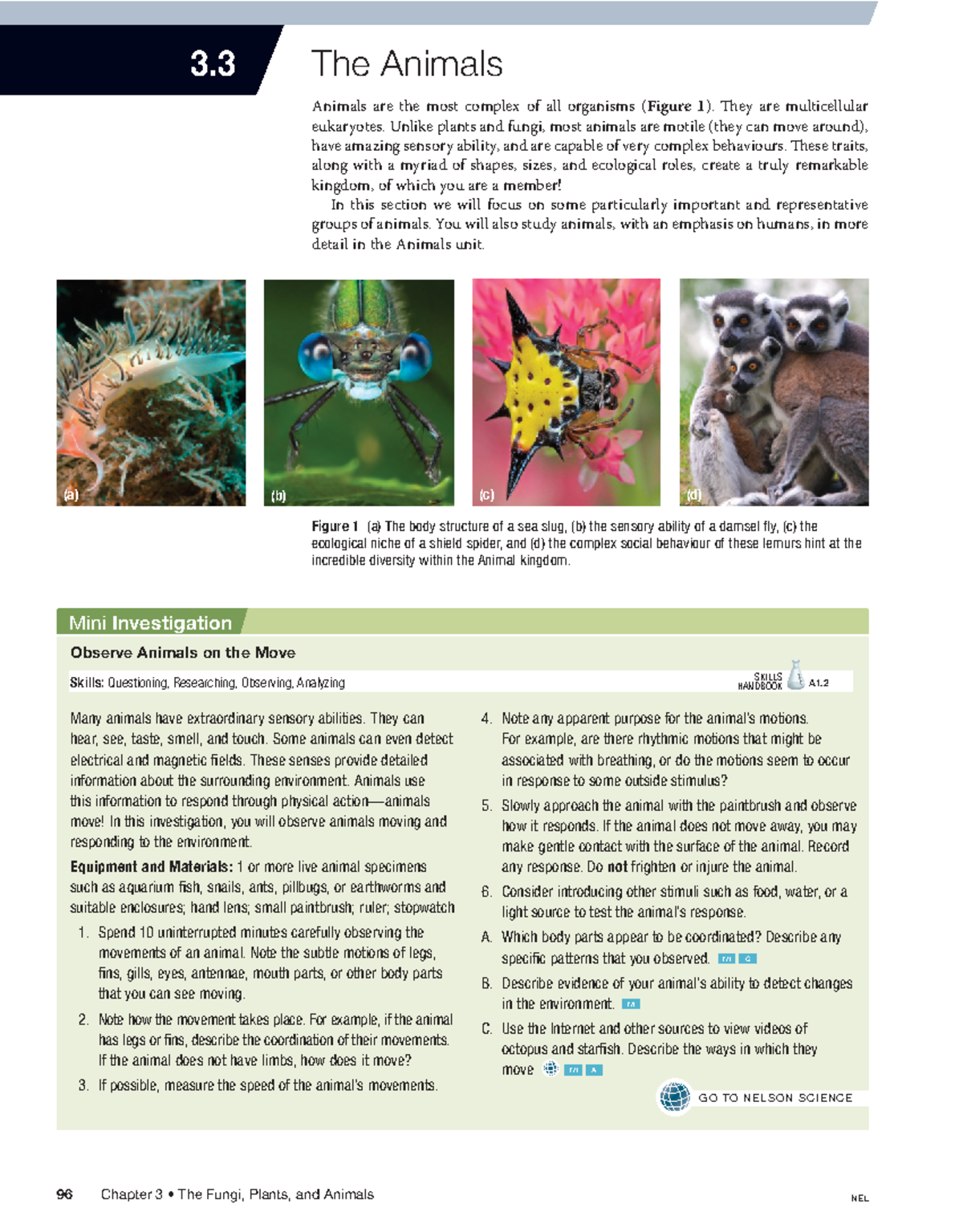 NB11U - Ch3 - The Fungi, Plants and Animals (pgs78-119) 0019-0019 - 3 ...