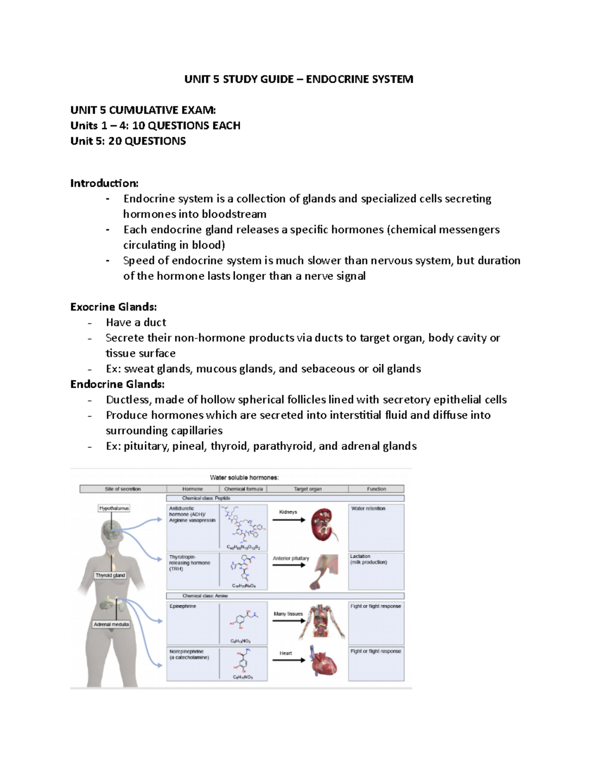 BSC 2085 Unit 5 Study Guide - Endocrine - UNIT 5 STUDY GUIDE ...