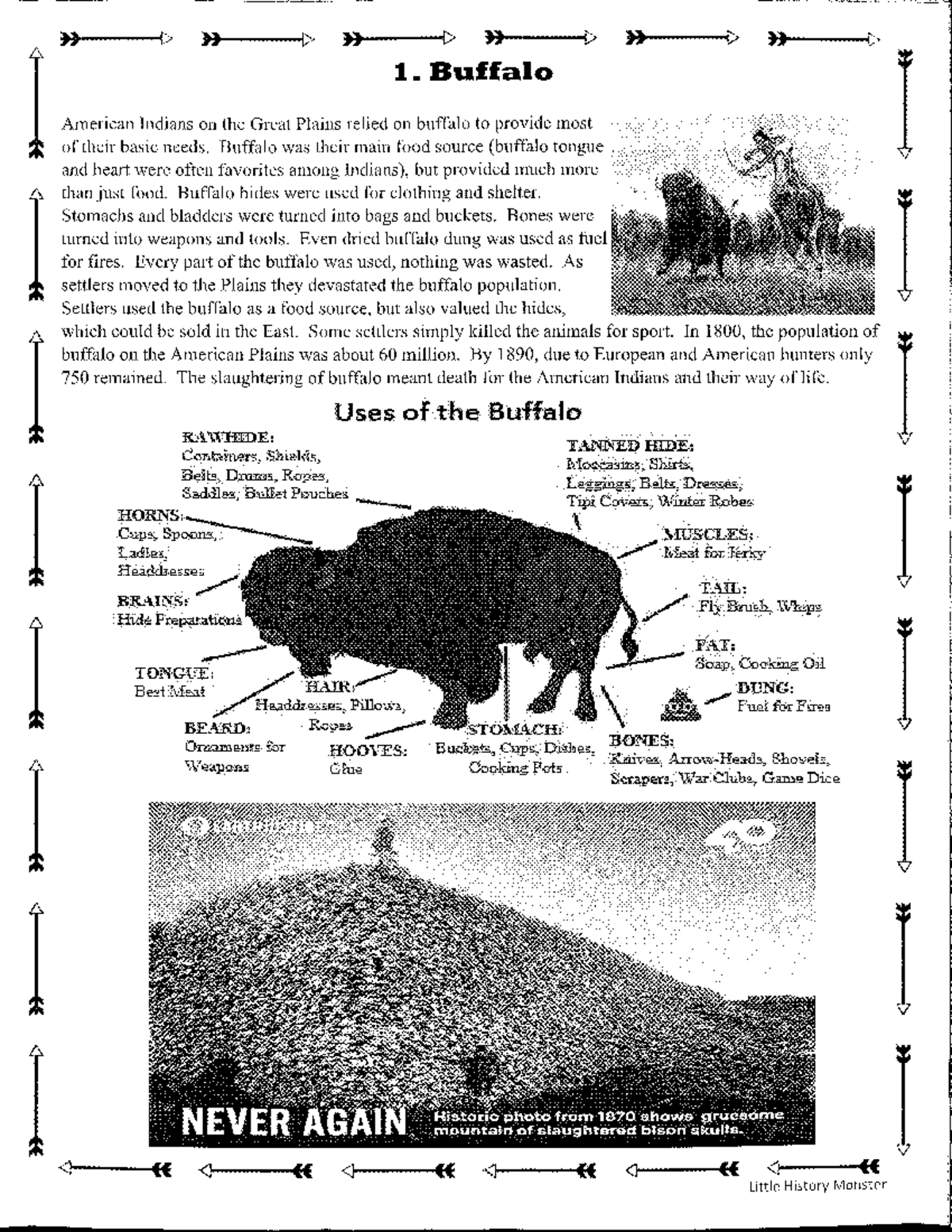 Westward Expansion & American Indians - 1. Buffalo American Indians on ...