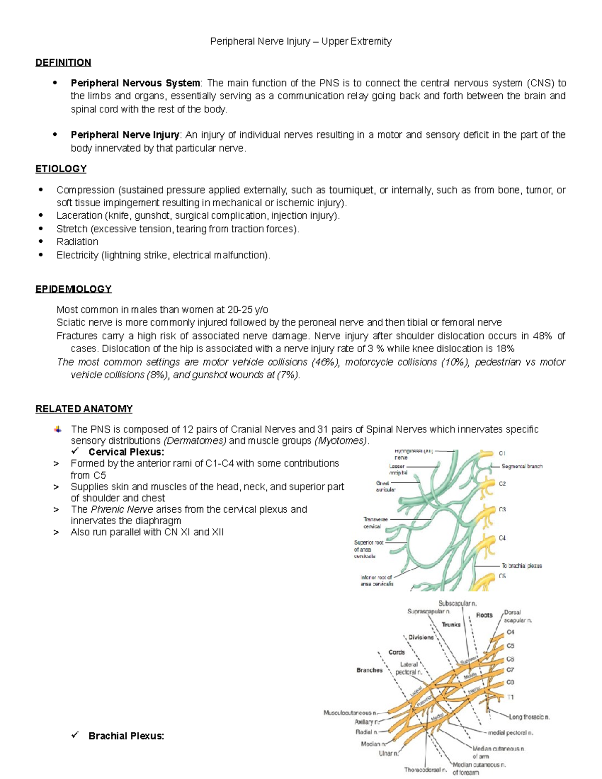 peripheral-nerve-injury-medback-peripheral-nerve-injury-upper