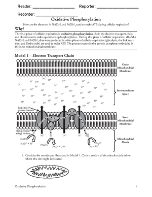 Phys111-2016 syllabus - PHYSICS 111 Fall 2016 Instructor: Dr. David B ...