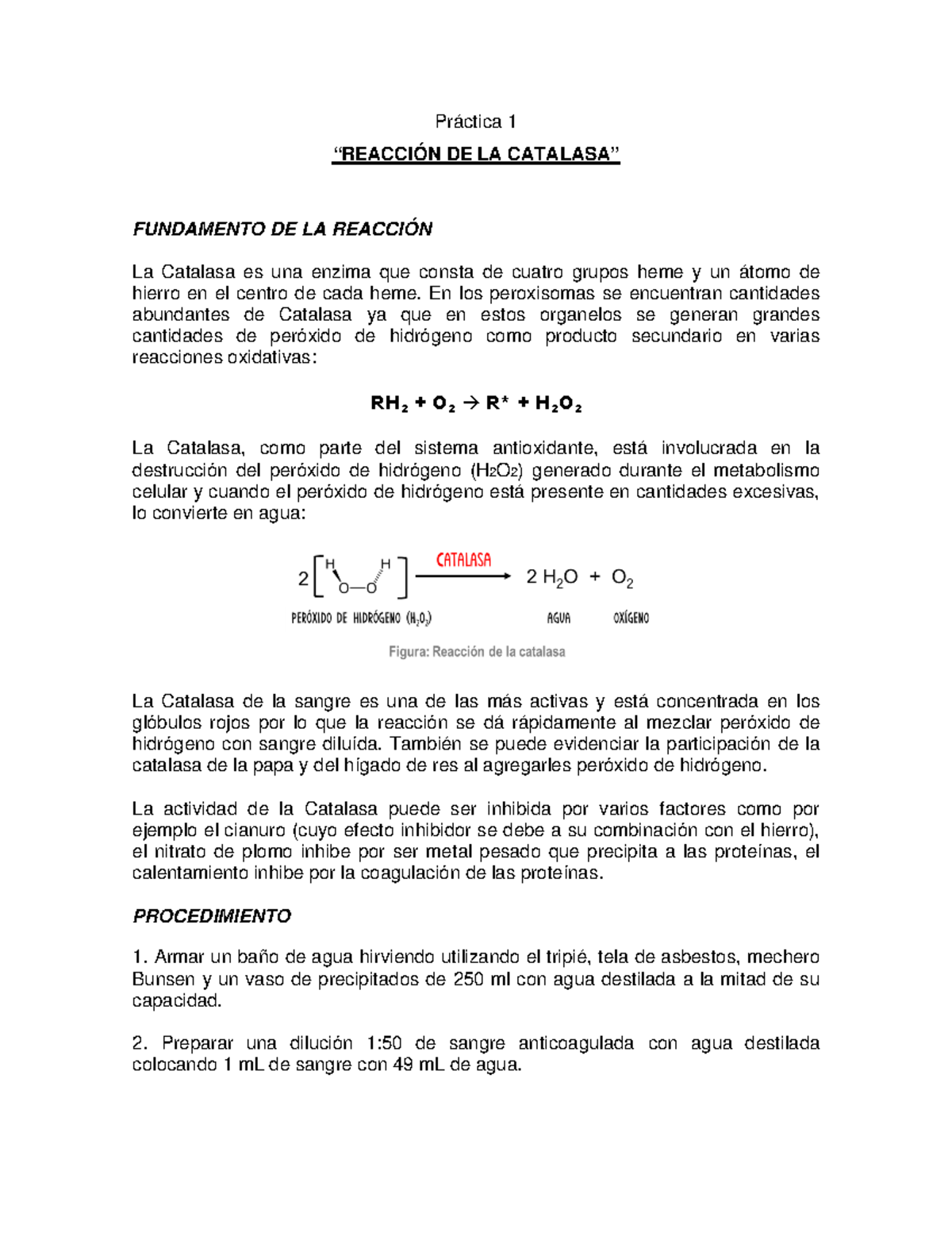 Práctica 1 - Reaccion de la Catalasa - Práctica 1