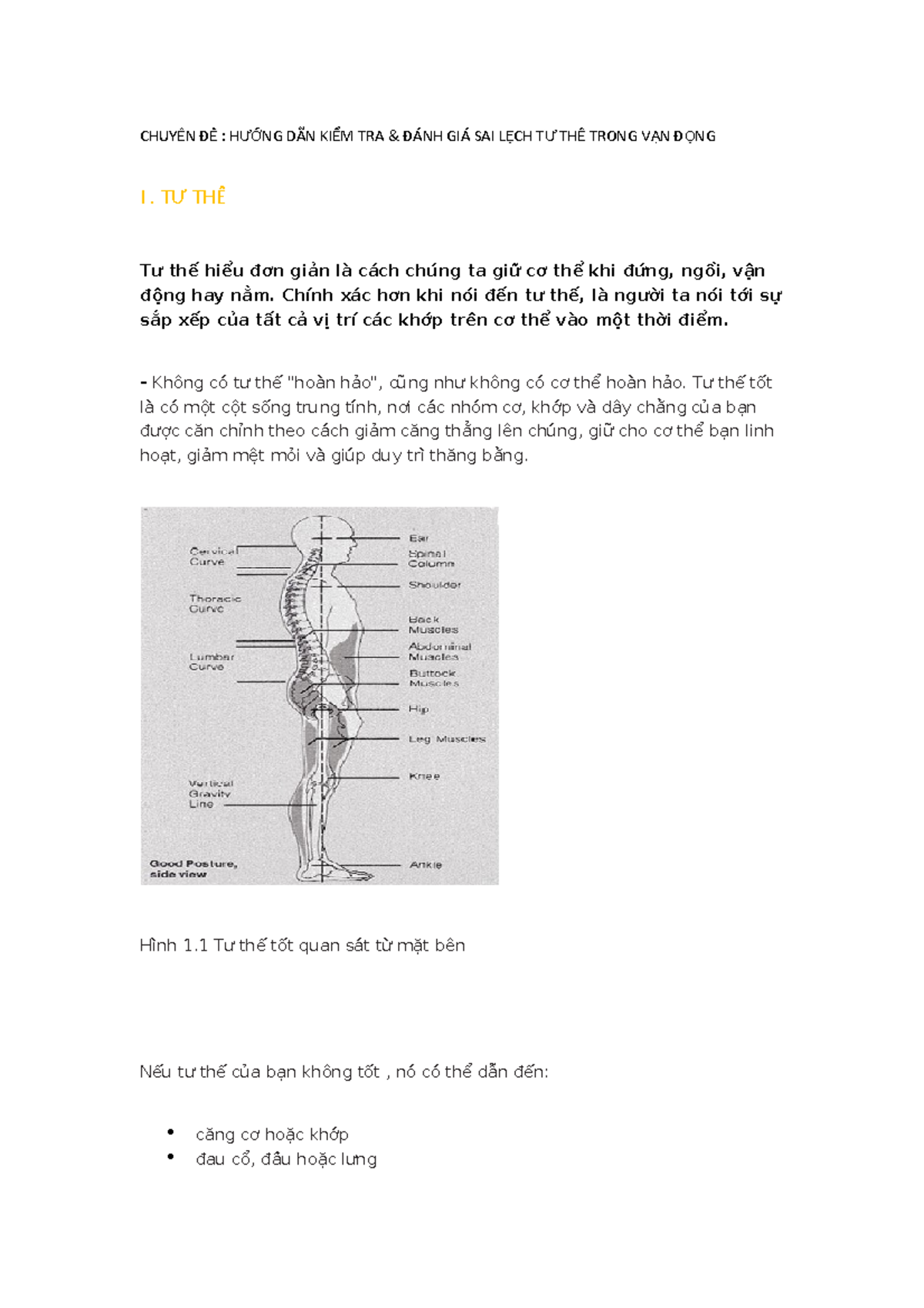 Hướng dẫn kiểm tra và đánh giá tư thế - CHUYÊN ĐÊỀ : H NG DẪẪN KI M TRA & ĐÁNH GIÁ SAI L CH T ...