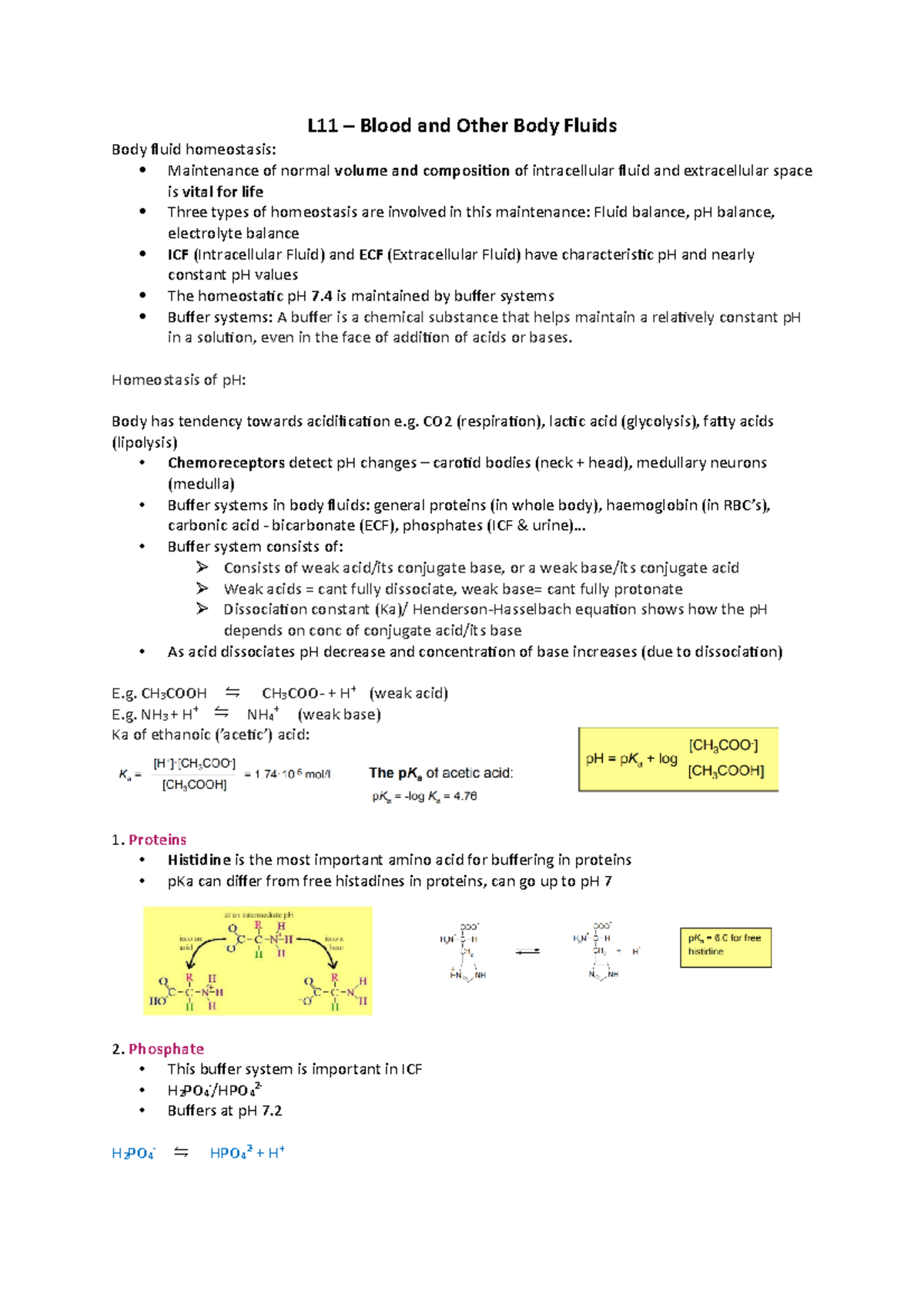 L11 - Blood and other body fluids 1 - L11 – Blood and Other Body Fluids ...