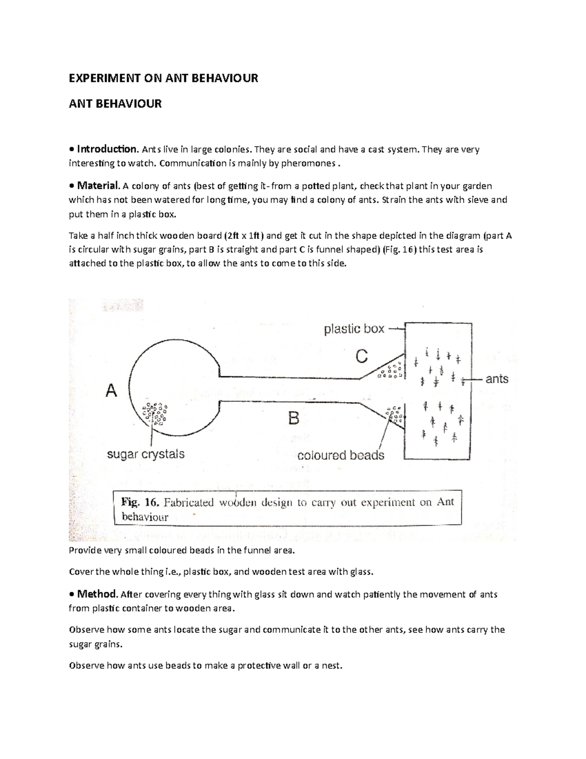 Experiment on ant - EXPERIMENT ON ANT BEHAVIOUR ANT BEHAVIOUR ...