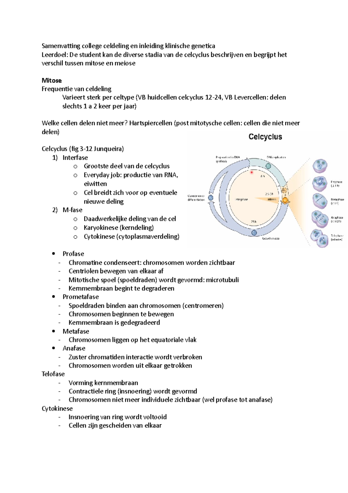 Samenvatting college celdeling en inleiding klinische genetica ...