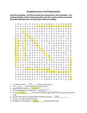 Smoking Susie-1 - Assignments for Dr. Bandy - Susie, Susie, Susie ...