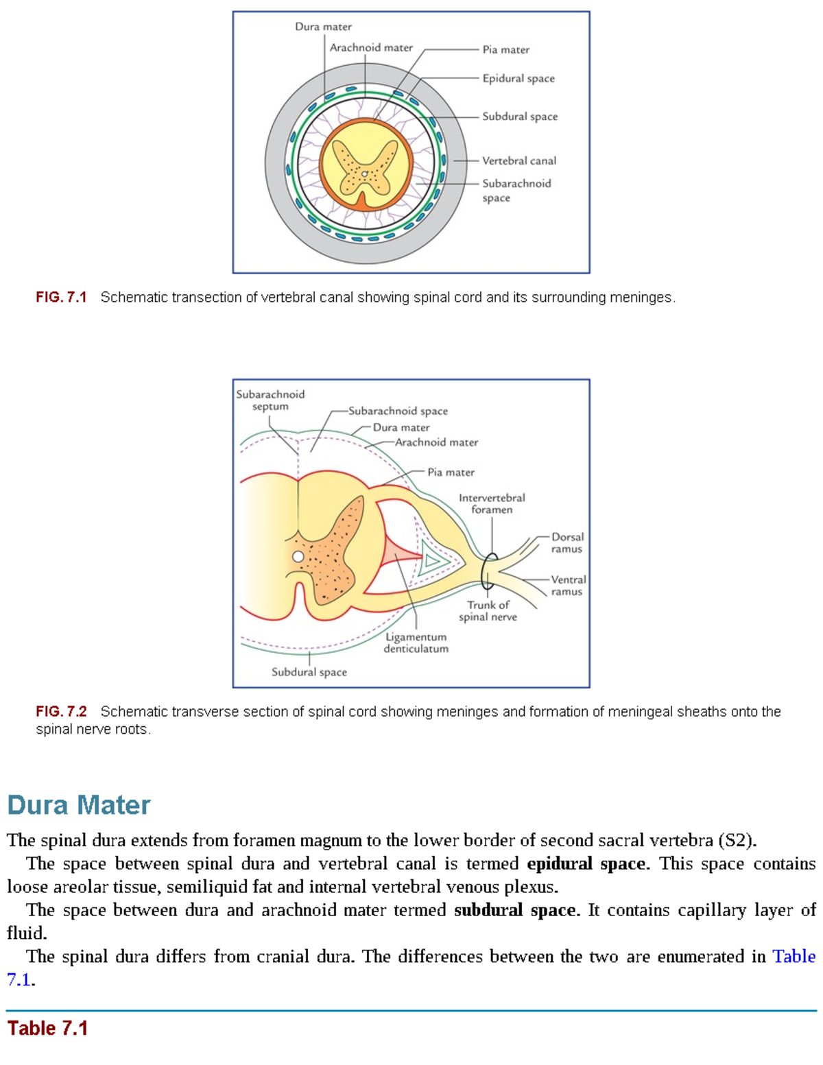 Vishram singh textbook of clinical neuroanatomy 12 - FIG. 7 Schematic ...
