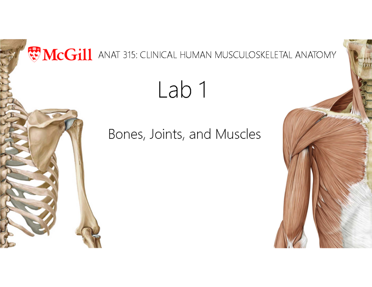 Lab 1 - Bones, joints and muscles - Lab 1 ANAT 315: CLINICAL HUMAN ...