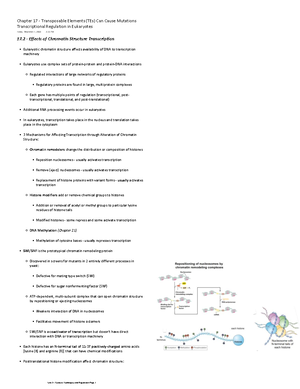 Capitulo 8 Notes - SPAN 2002 - Studocu