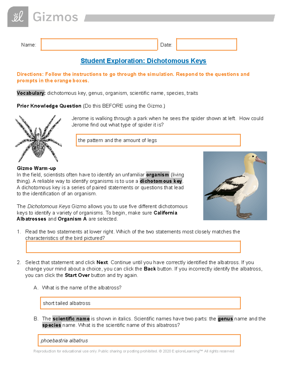 Dichotomous Key Gizmos - Name: Date: Student Exploration: Dichotomous ...