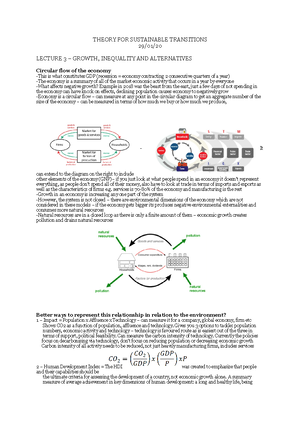Accelerating sustainability transitions - THEORY FOR SUSTAINABLE ...