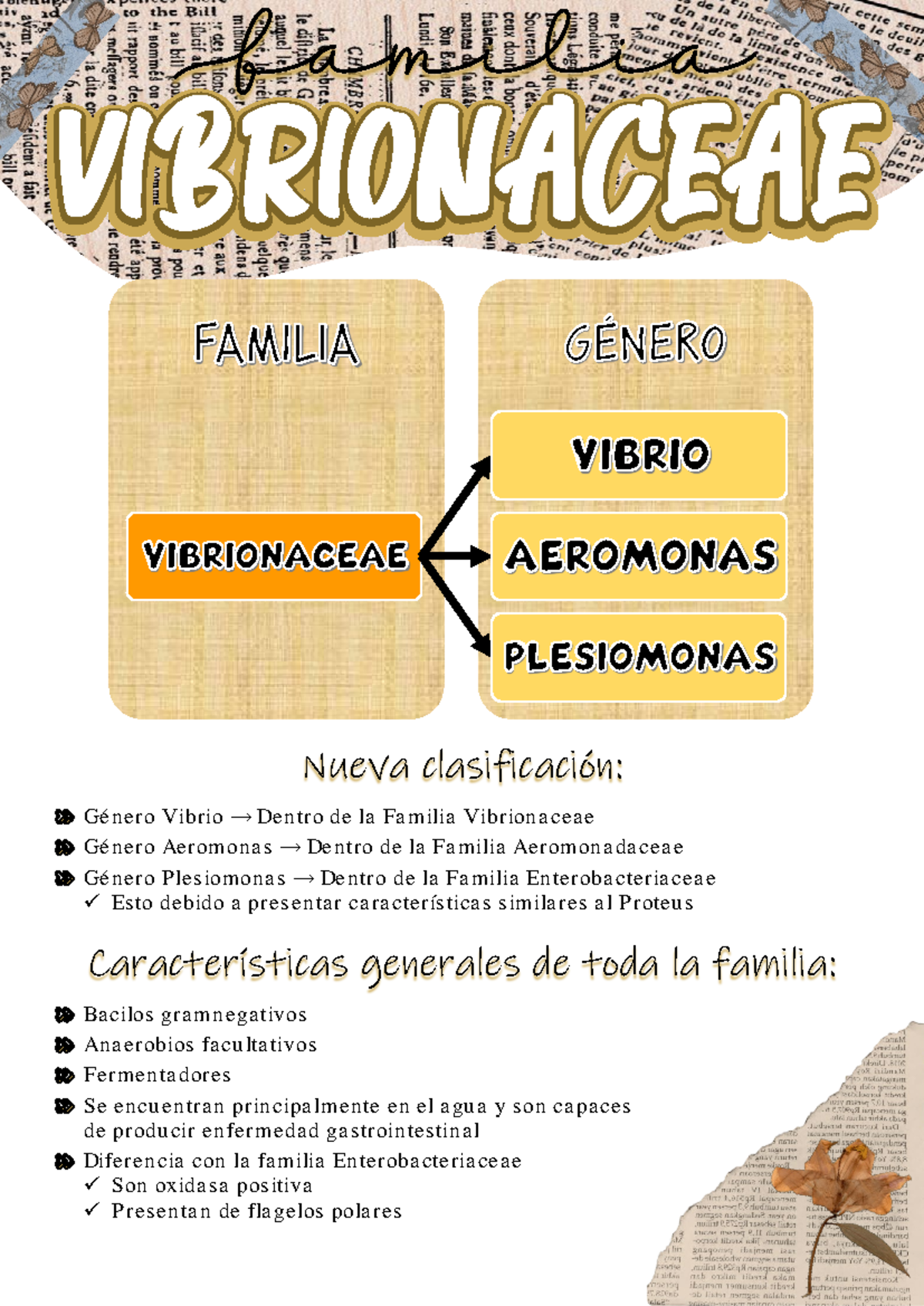 Vibrionaceae - Summary Microbiologia - Nueva clasificación: Género ...
