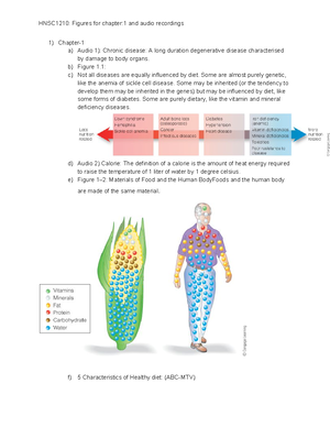 Foods Notes - Unit 1: Food Choices and Human Health Health: State of a ...