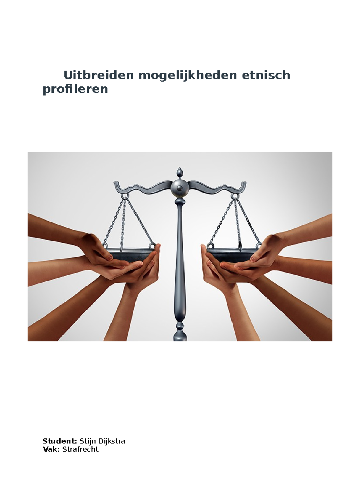 Onderzoeksrapport Individueel Uitbreiden mogelijkheden etnisch ...