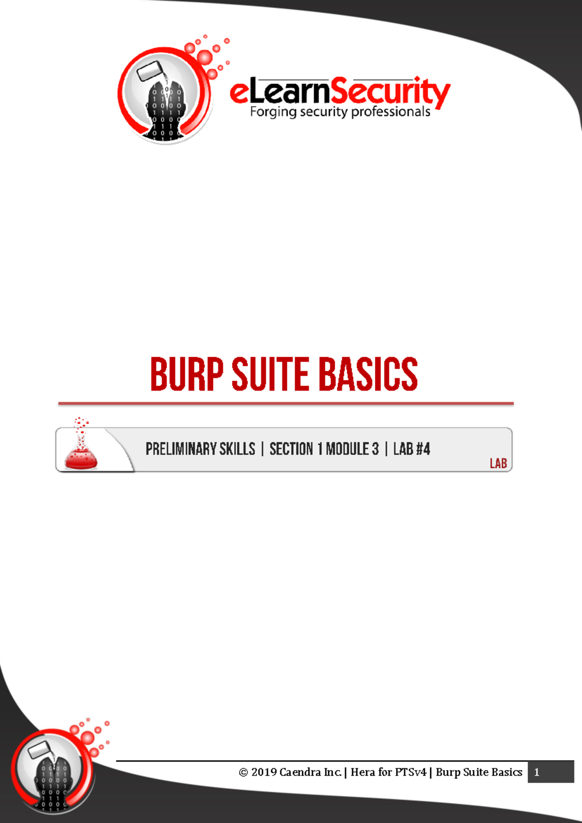 Burp Suite Basics - Nothing - A client provides you with a URL to a web ...