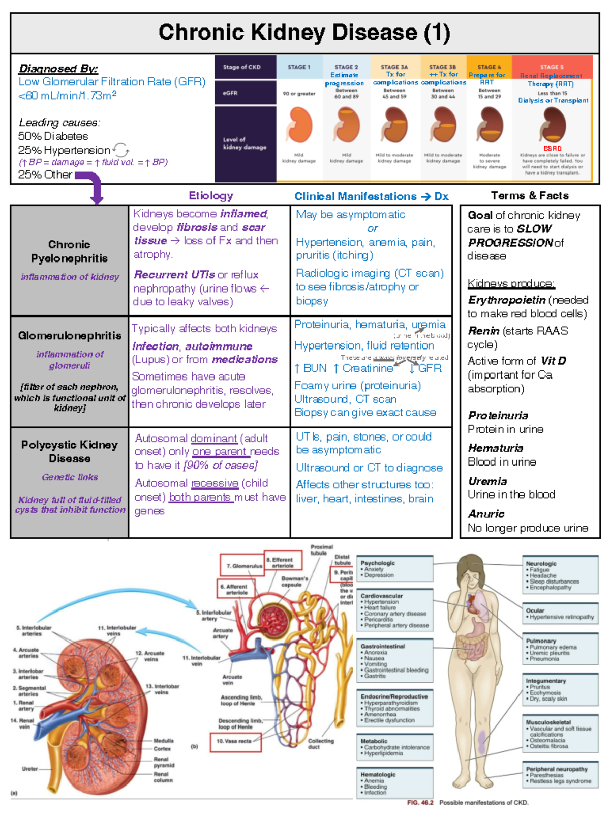 CKD - Chronic Kidney Disease - Chronic Kidney Disease (1) Diagnosed By ...