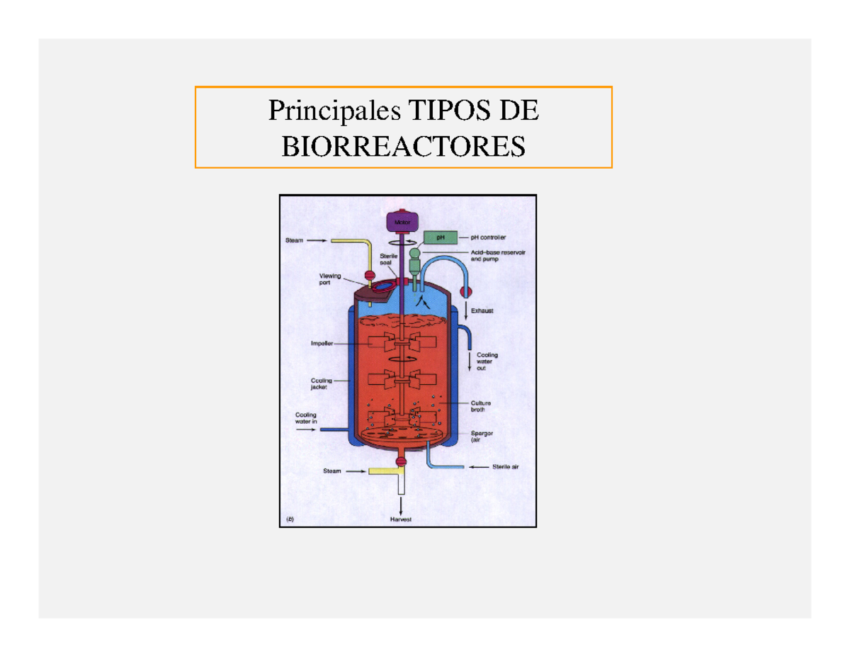 Clase de Biorreactores 2019 - Principales TIPOS DE Principales TIPOS DE ...