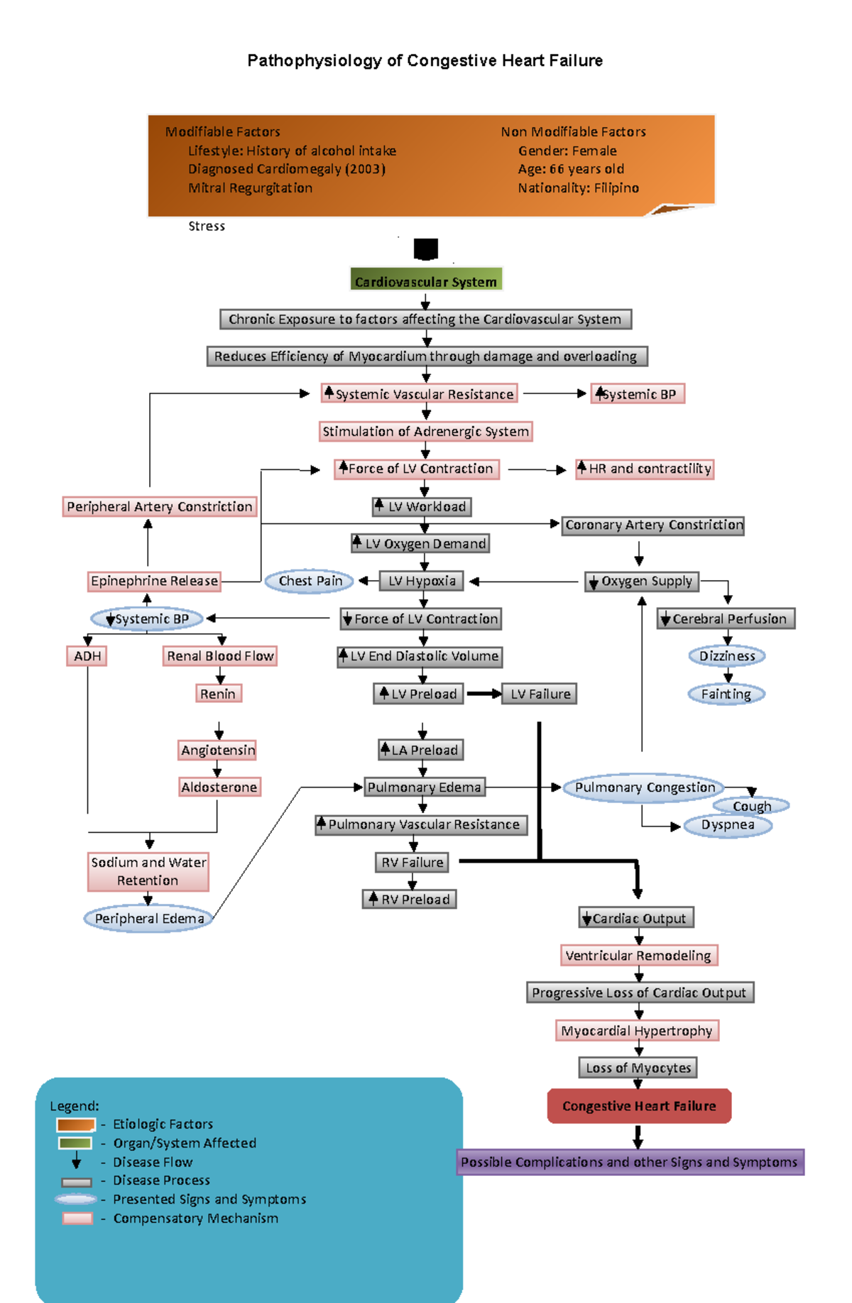 50123697 Pathophysiology of Congestive Heart Failure - Pathophysiology ...