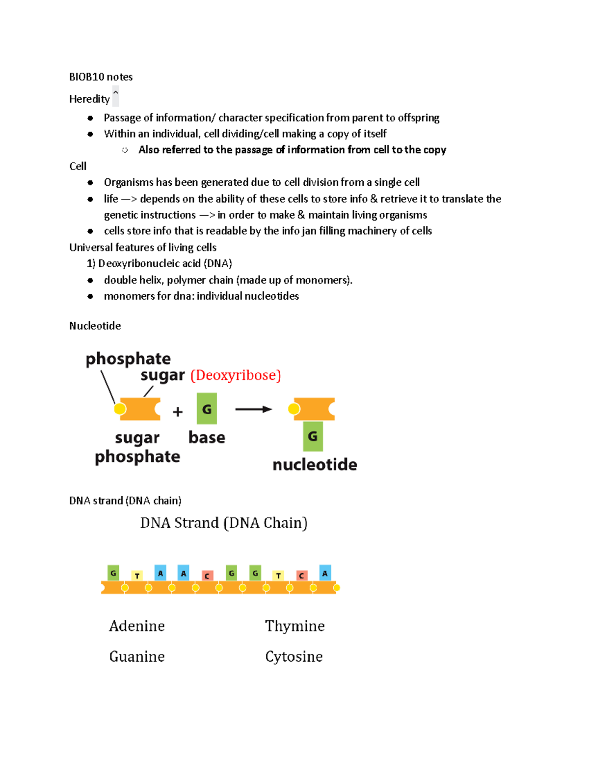 Cell bio - Lecture notes 1-5 - BIOB10 notes Heredityˆ Passage of ...