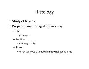 MLA Annotated Bibliography Template - John Doe Professor Smith ENGWR ...