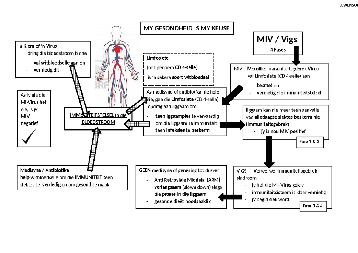 MIV - VIGS Breinkaart - IMMUNITEITSTELSEL in die BLOEDSTROOM ‘n Kiem of ...
