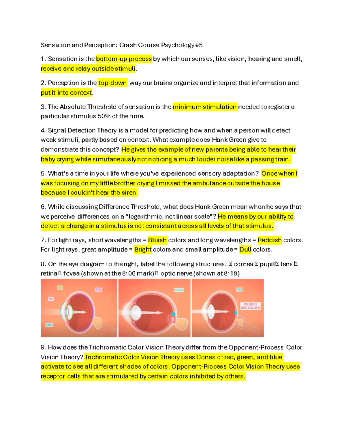 Sensation and Perception Psychology #5 - Sensation and Perception ...