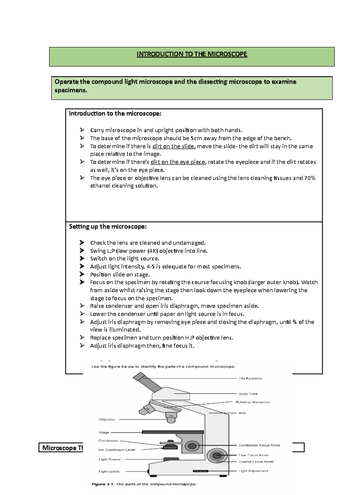 Introduction to the Microscope - INTRODUCTION TO THE MICROSCOPE Operate ...