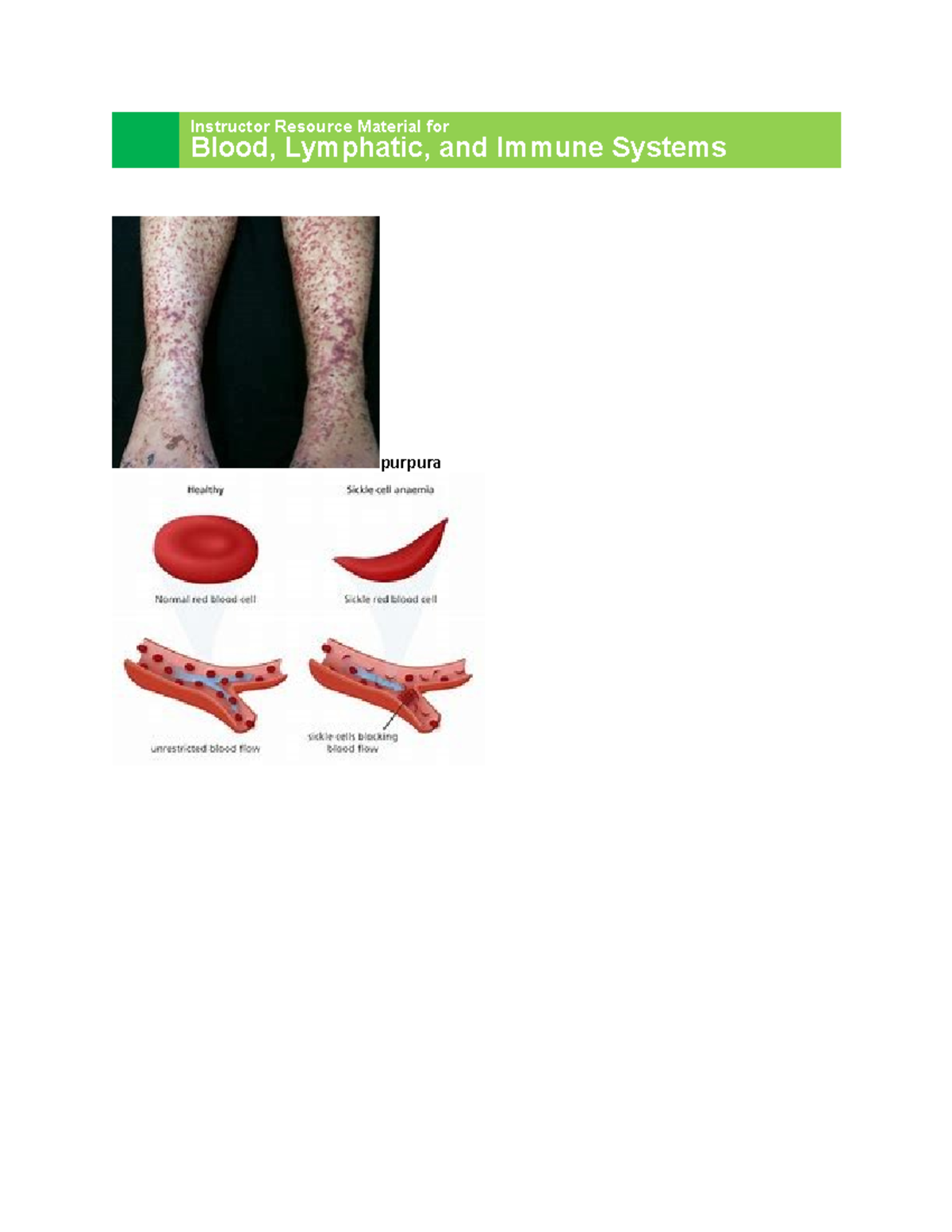 Blood Lymphatic and Immune System Lecture Notes 2022 - Instructor ...