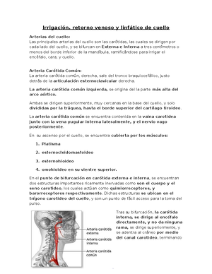 Recto - Resumen Anatomia Humana - Recto: es la porción pélvica del tubo ...