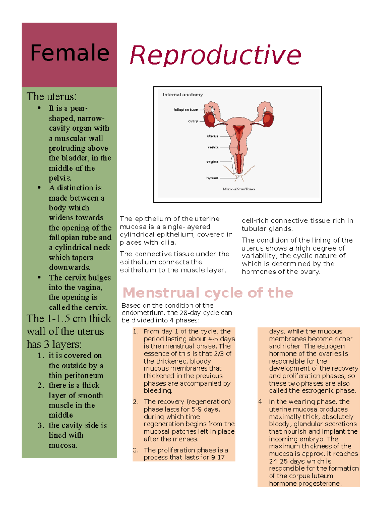 Female reproductive cycle - days, while the mucous membranes become ...