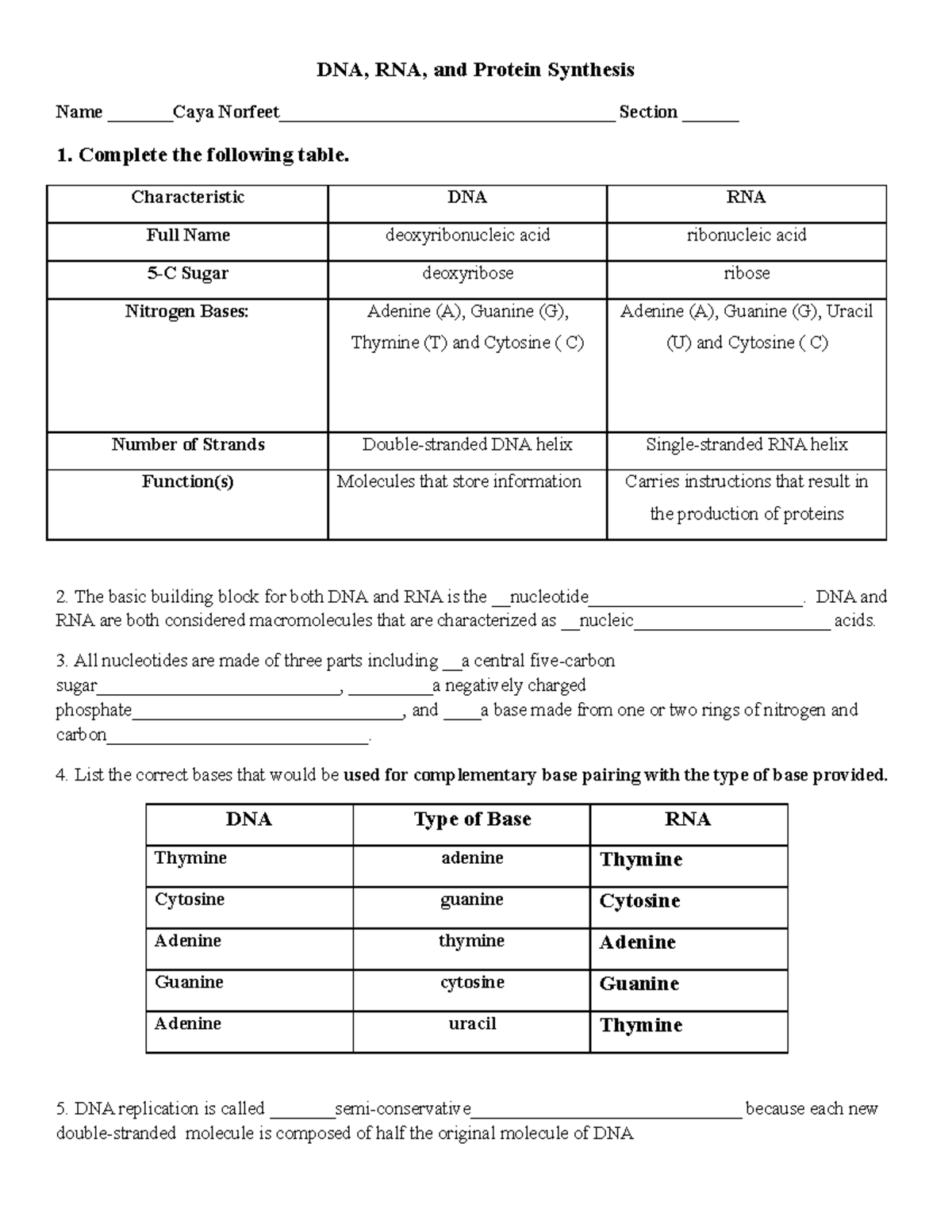 DNA Protein Synthesis Activity (6) (1) - DNA, RNA, and Protein ...