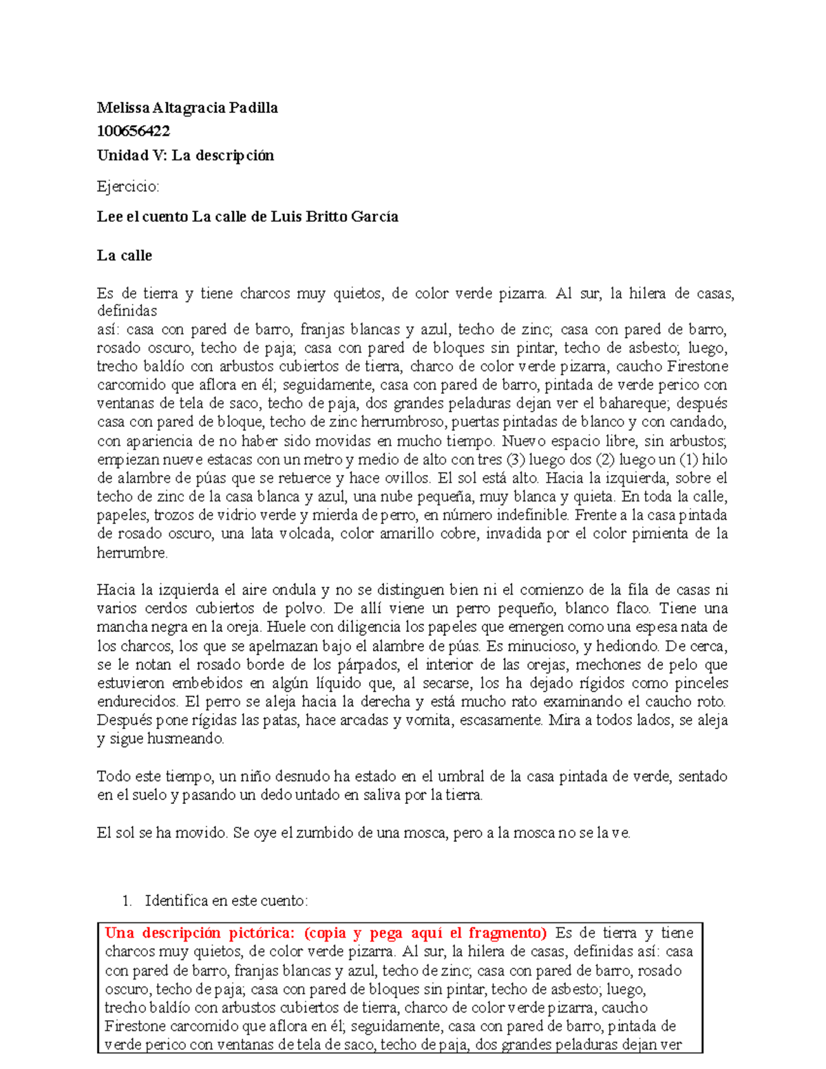 La calle una de las práctica de letra 012 - Melissa Altagracia Padilla ...