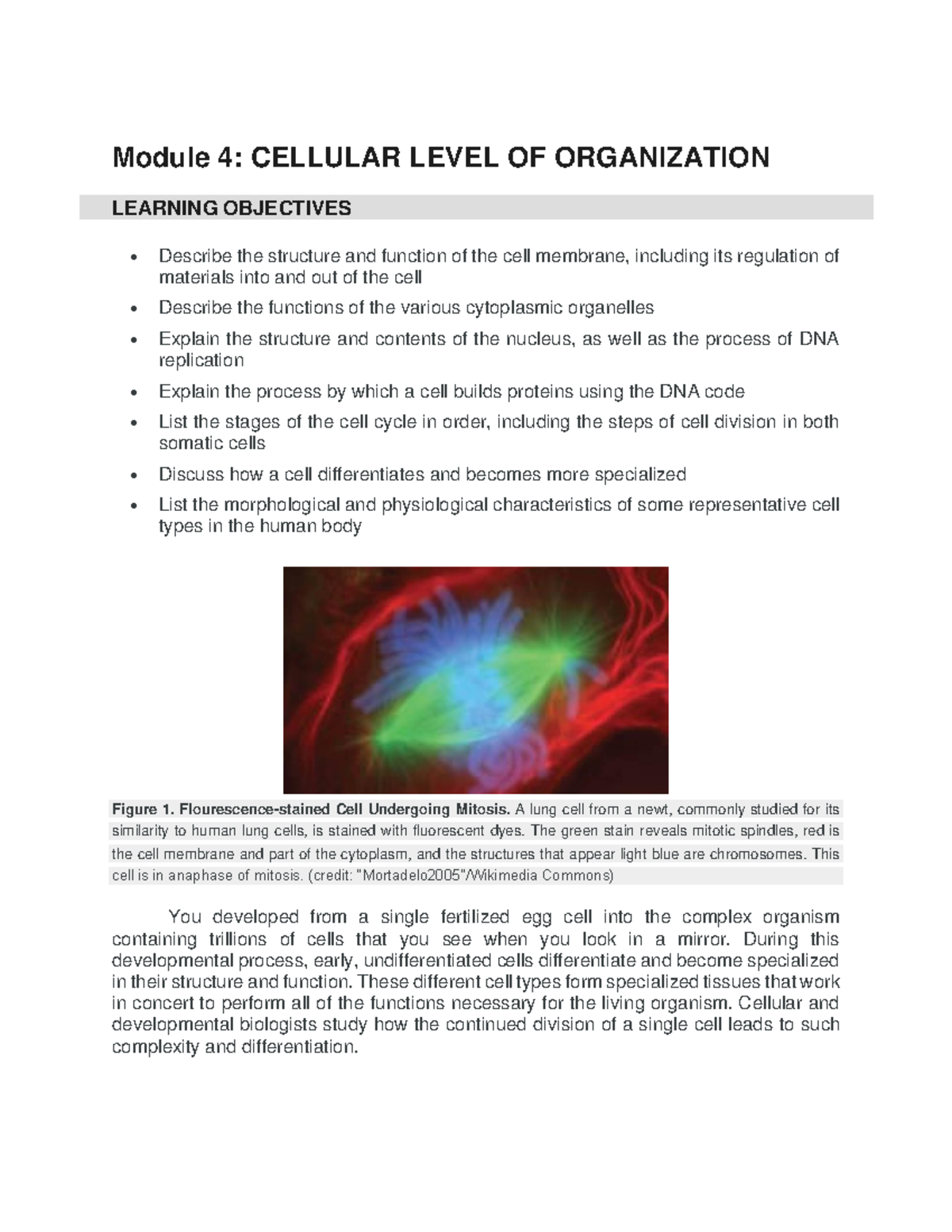 Cellular Level of Organization - Module 4: CELLULAR LEVEL OF ...