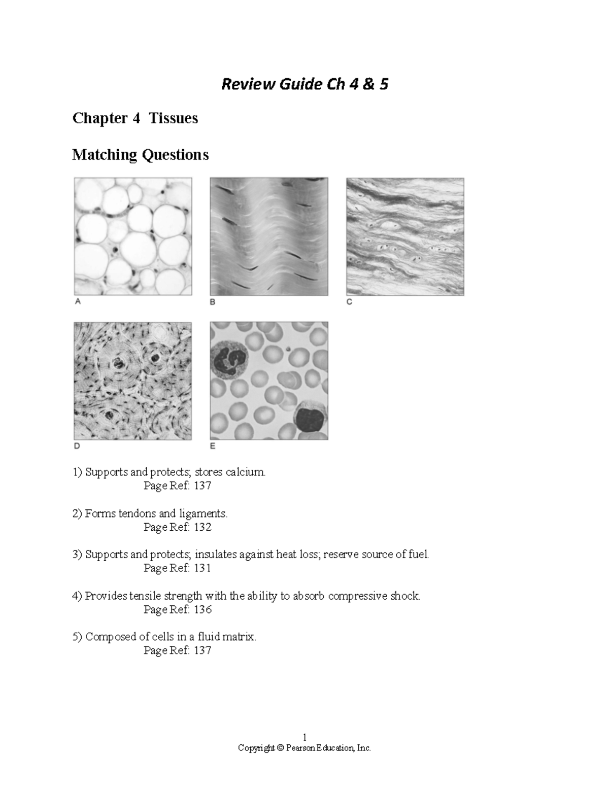 Microsoft Word - Exam 2 Review Guide - 1 Review Guide Ch 4 & 5 Chapter ...