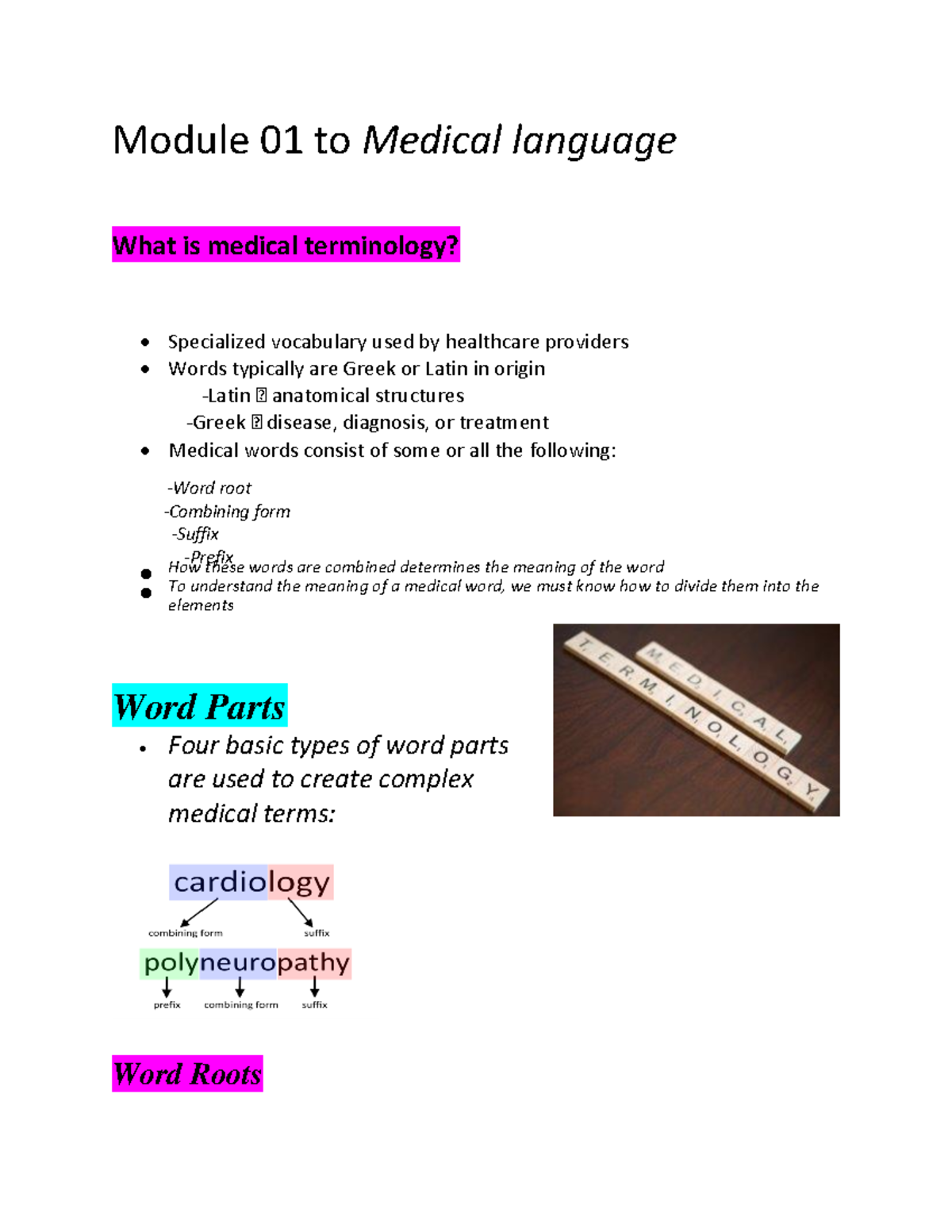 Module 01 - New thingz - HSC 1531 - Studocu